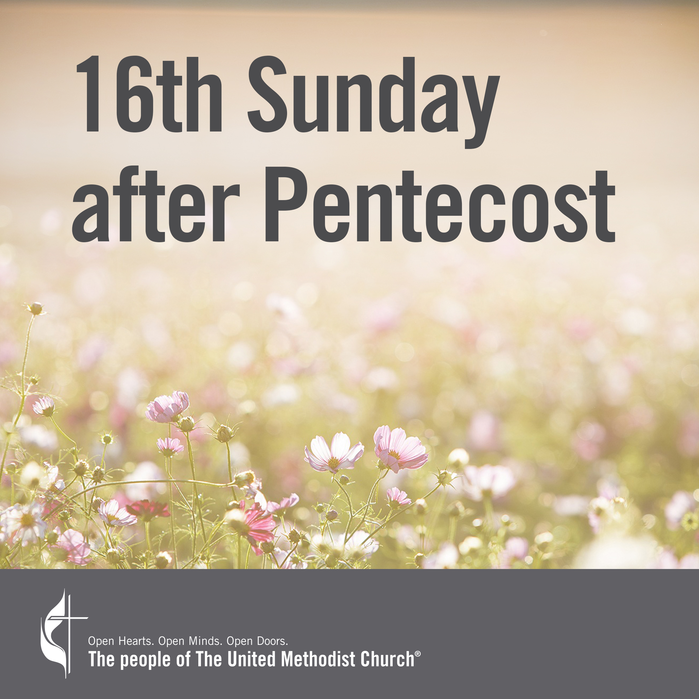 16th-Sunday-after-Pentecost-Quote | Church Butler - Done for you social ... 16th-Sunday-after-Pentecost-Quote | Church Butler - Done for you social ...